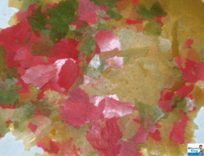 Purple Cobalt Discus – Discus Fish For Sale | Discus Fish | DiscusGuy